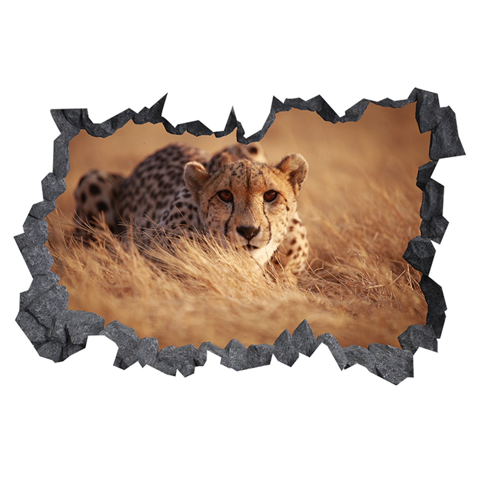 Wall Sticker Cheetah in Field Nature 3D Hole in the Wall C - Etsy
