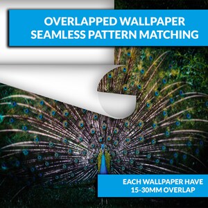 Peacock Wall Decor Self-adhesive Wallpaper for Living Room, Vinyl ...