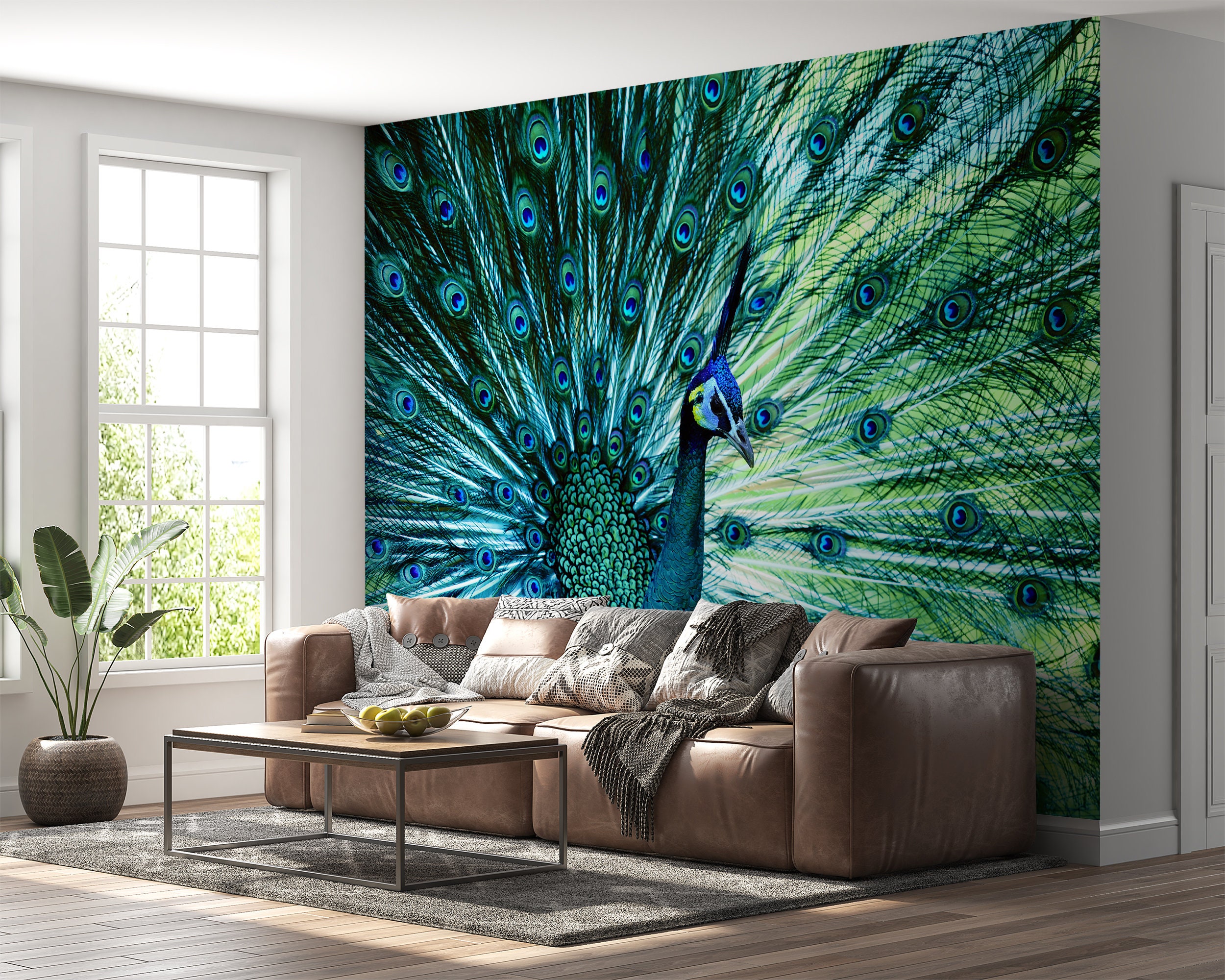Peacock Wallpaper For Walls