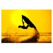 Jet Ski Sunset Jump Poster Self-adhesive Wall Sticker Decal Deco Mural ...