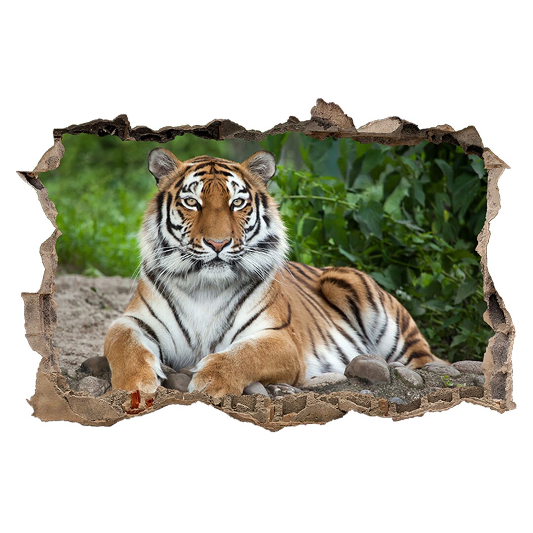 Wandtattoo Tiger Chill Natur 3D Hole in The Wall Effekt Self Decal ...