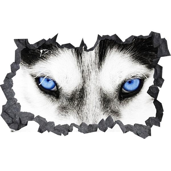 Husky Decal - Etsy