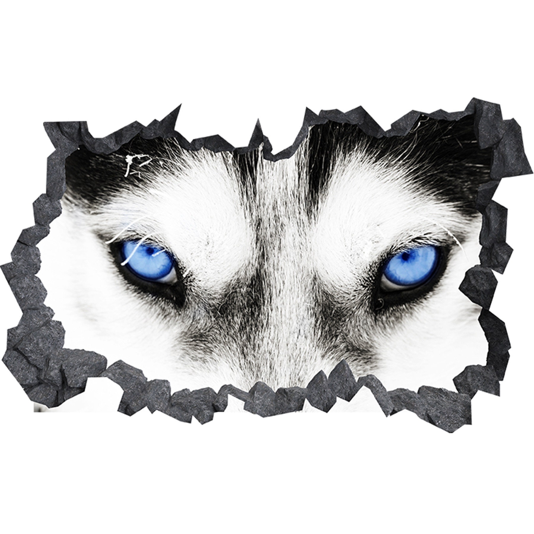 Wall Sticker Siberian Husky Blue Eyes 3D Hole in the Wall C - Etsy UK