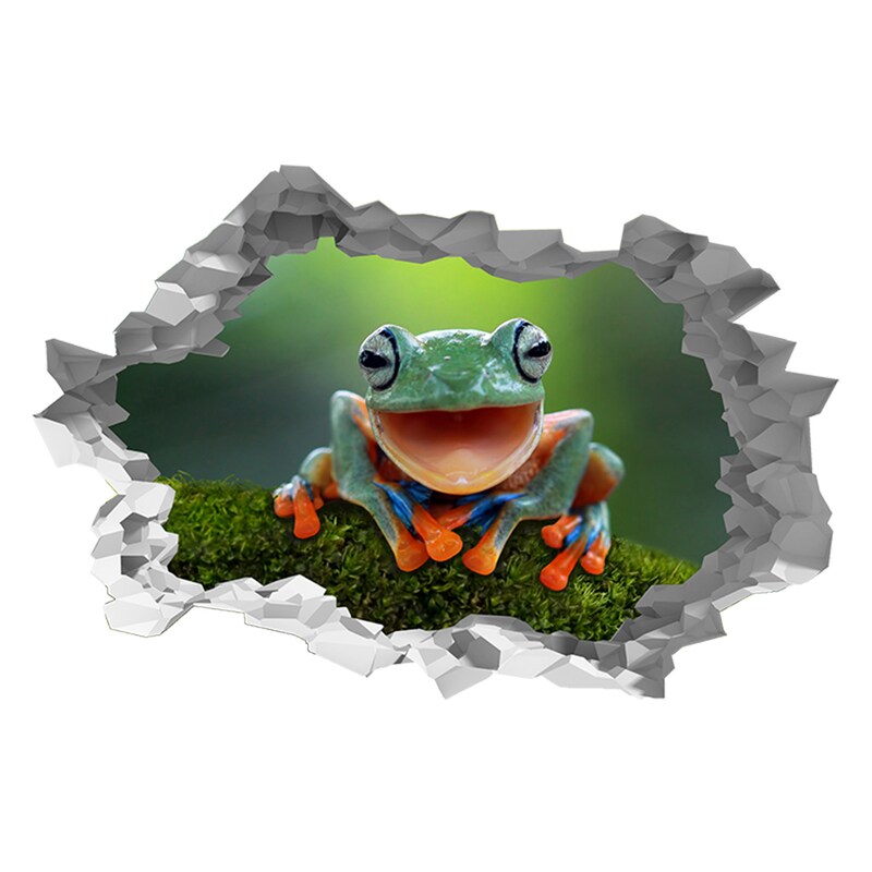 Frog Wall Decal - Etsy