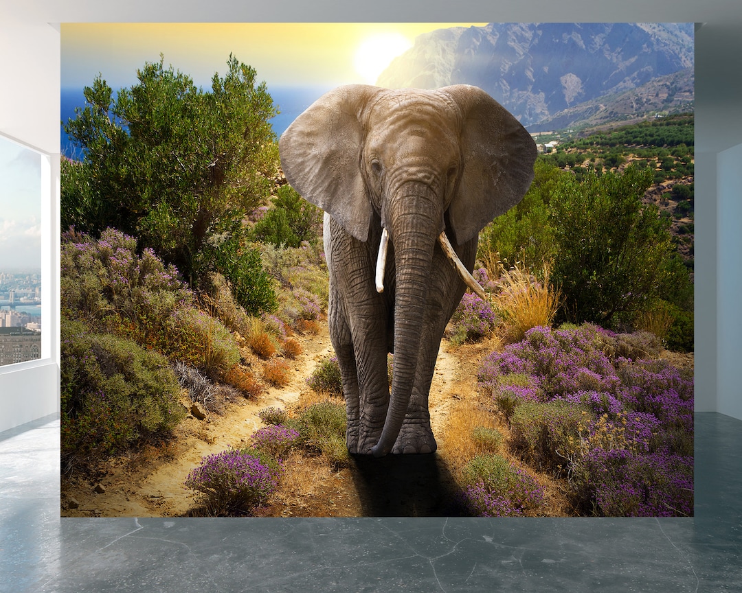 Elephant Wall Decor Peel and Stick Wallpaper, Office Decor, Animal Wall ...