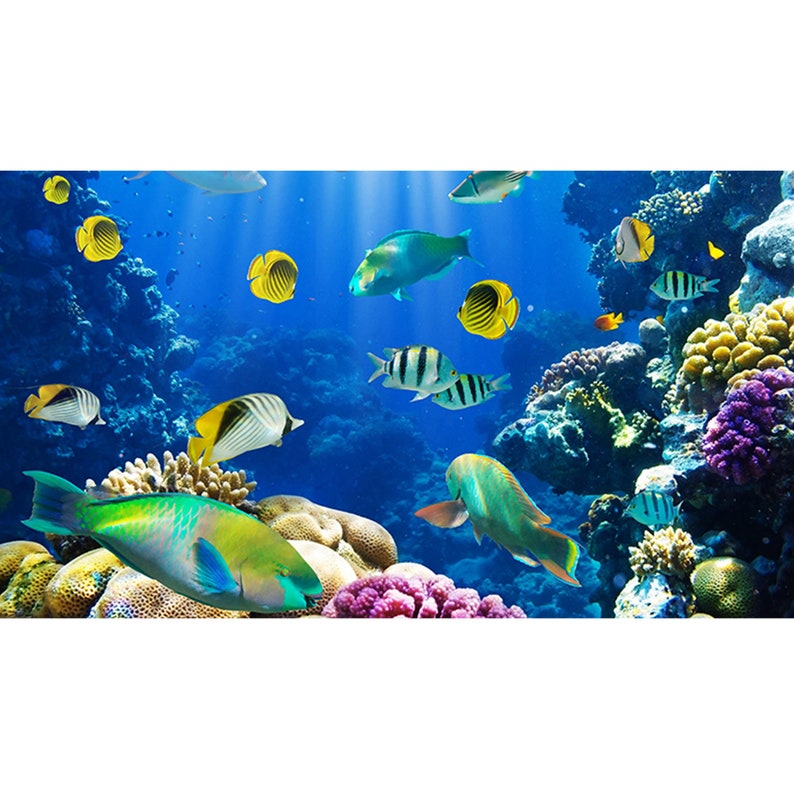 Wall Sticker Aquarium Sea Life Fish Theme Poster Self Adhesive - Etsy