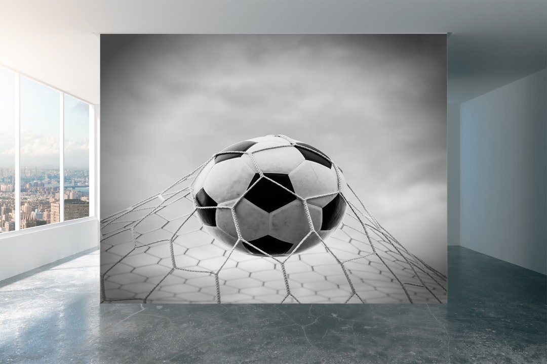Football Ball in Net Wall Mural Wallpaper Wall Art Peel & Stick Self ...