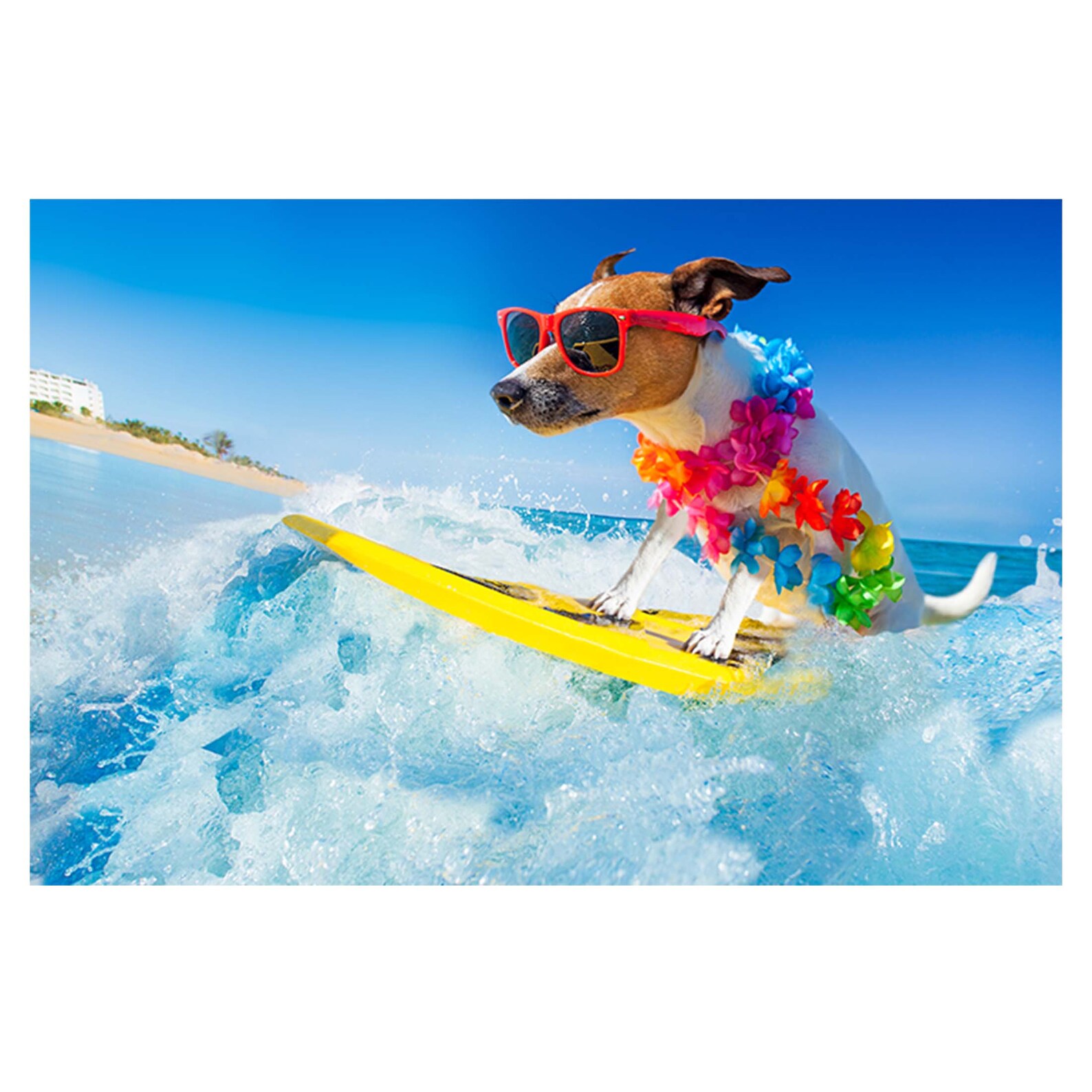 Wall Sticker Surfing Dog Sunglasses Poster Self-adhesive Art - Etsy