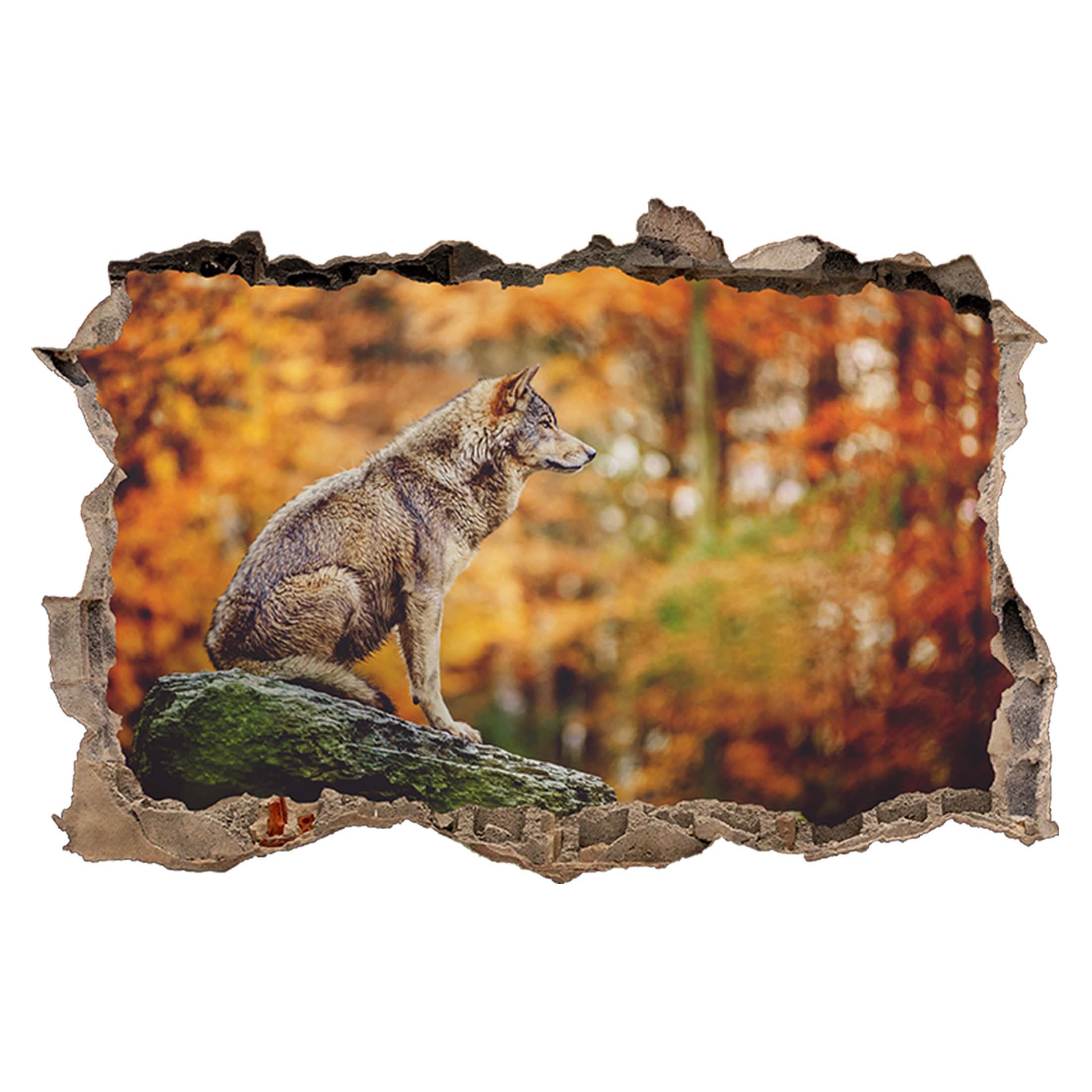 Wall Sticker Wolf on Rock in the Forest 3D Hole in the Wall - Etsy UK