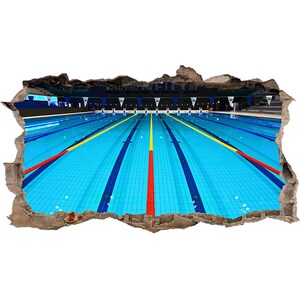 Wall Sticker Swimming Pool Theme 3D Hole in the Wall Effect Self ...