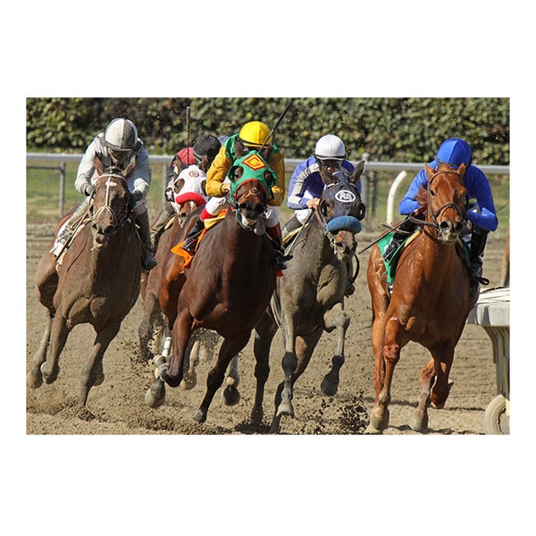 Horse Wall Sticker - Etsy