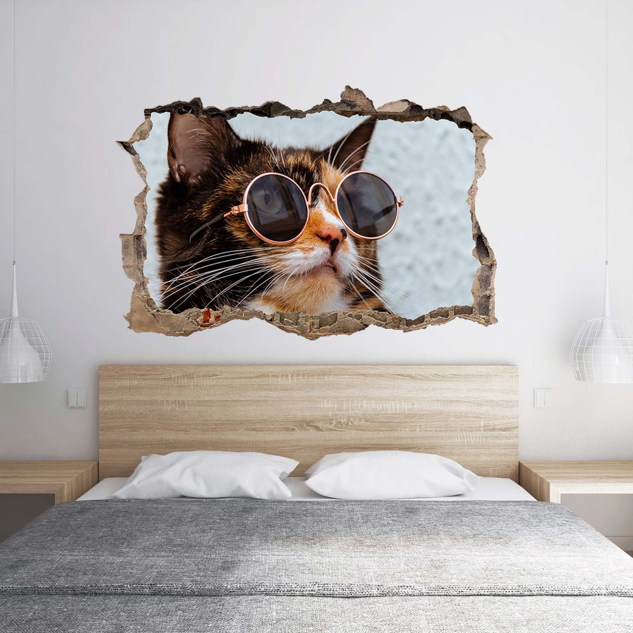 Wall Sticker Cat Wearing Sunglasses 3D Hole in the Wall Effect - Etsy UK