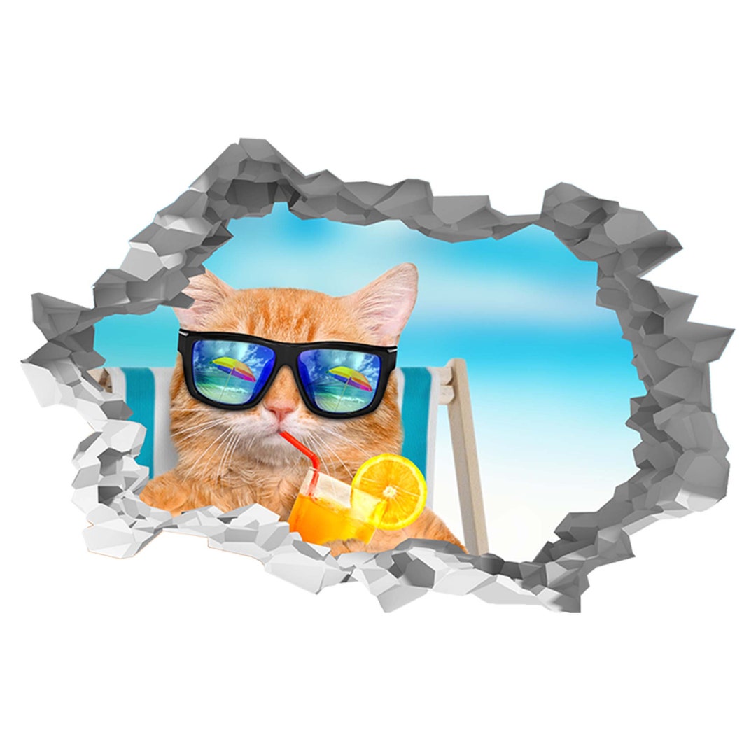 Wall Sticker Cat With a Drink 3D Hole in the Wall B Effect Decal Mural ...