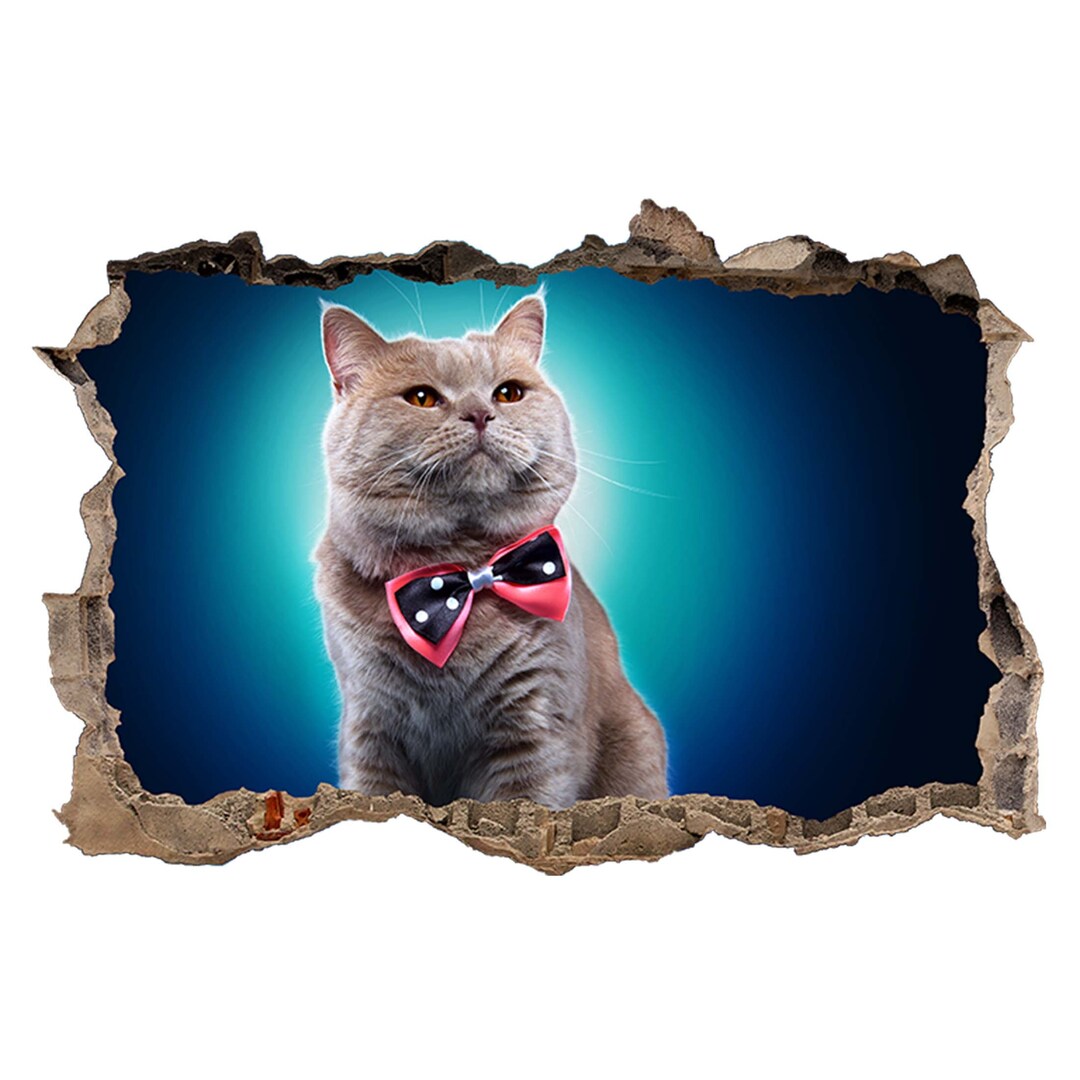 Wandtattoo Katze mit Fliege 3D Loch in der Wand Effekt Kunst Aufkleber ...