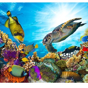Ocean Turtle Fish Laminated Vinyl Cover Self-adhesive for Desk and ...