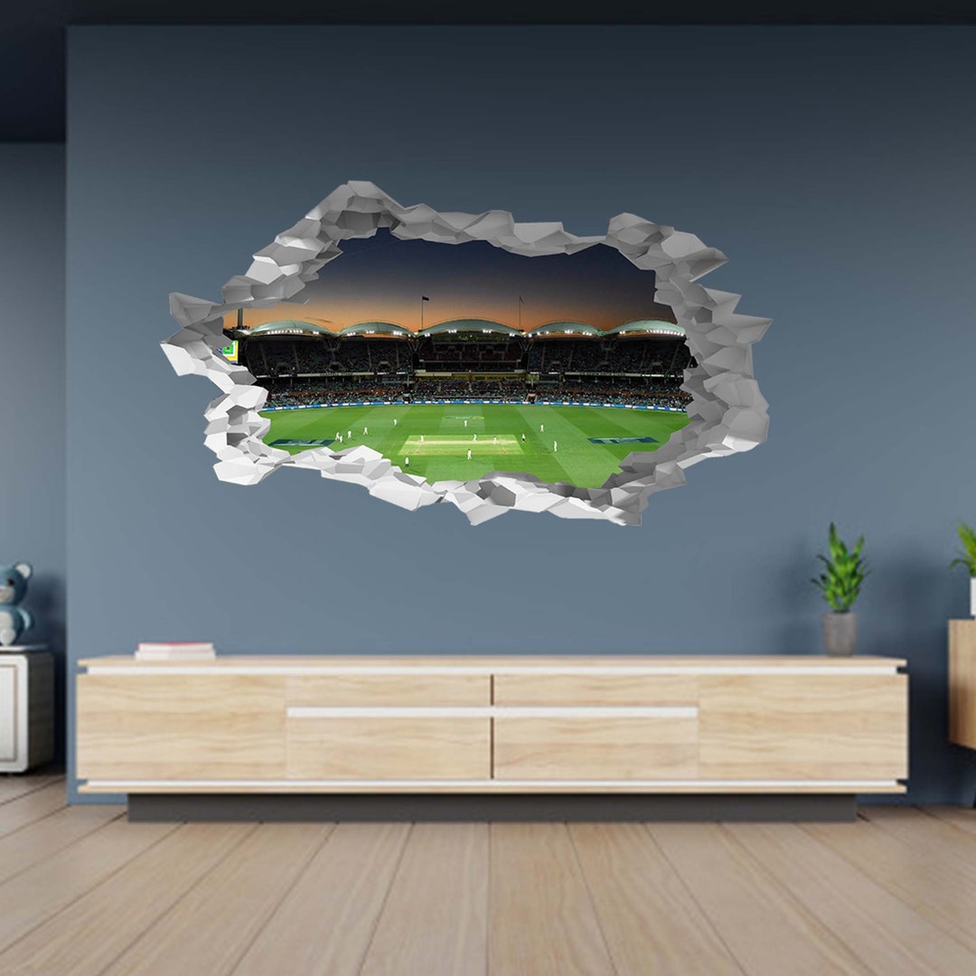 Wall Sticker Cricket Stadium Sport 3D Hole in the Wall Effect B Self ...