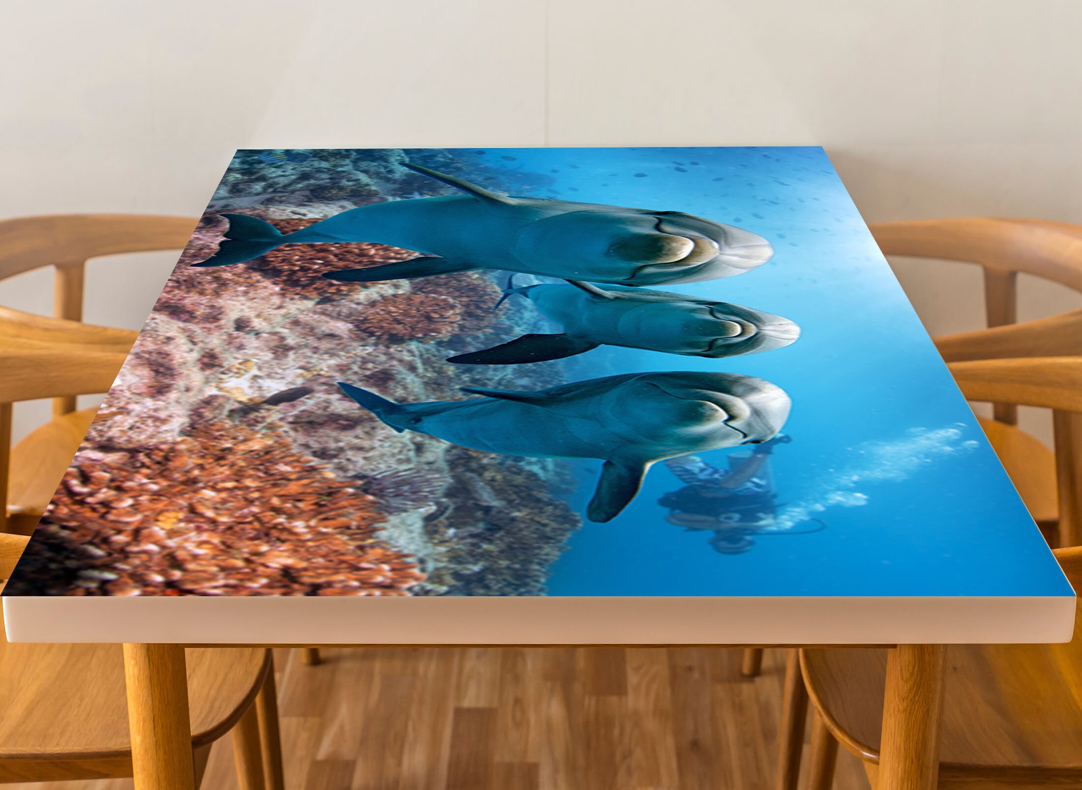 Ocean Dolphins Diver Laminated Vinyl Cover Self-adhesive for | Etsy