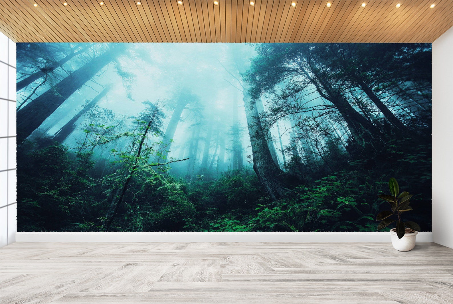 Dark Forest View Landscape Wall Mural Photo Wallpaper UV Print | Etsy