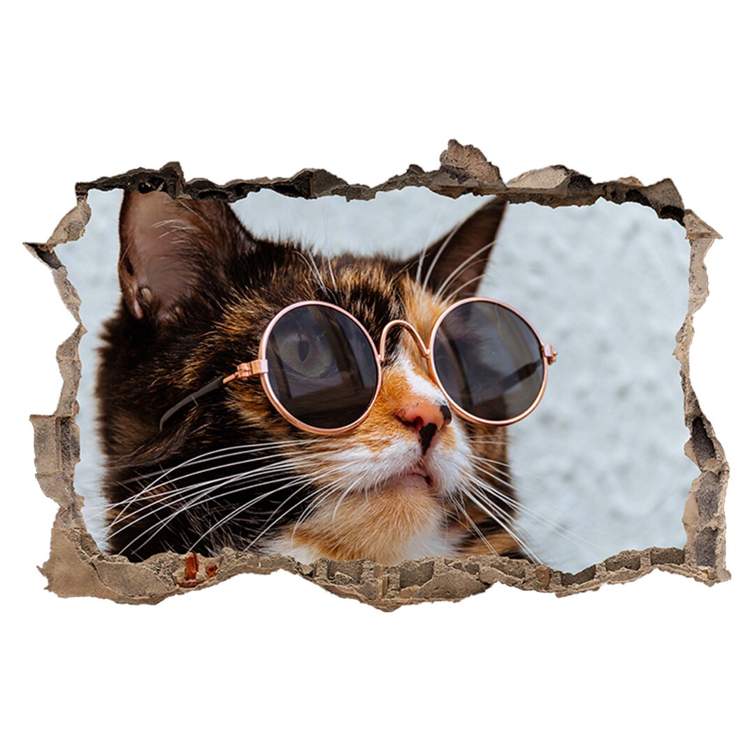 Wall Sticker Cat Wearing Sunglasses 3D Hole in the Wall Effect - Etsy UK