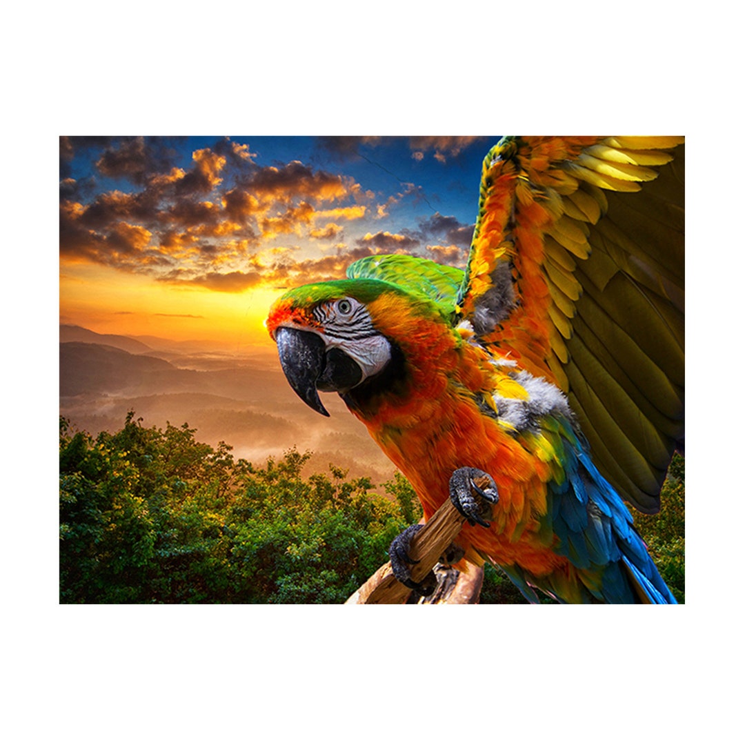 Wall Sticker Red Parrot Sunset Theme Poster Self Adhesive Art - Etsy