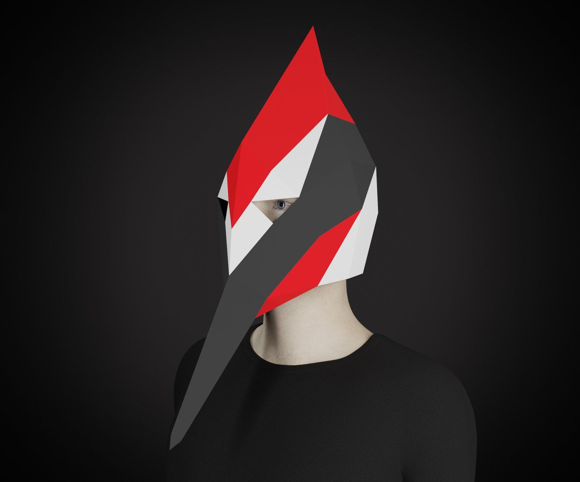 Woodpecker BIRD MASK PAPERCRAFT Diy Animal Costume Printable | Etsy Canada