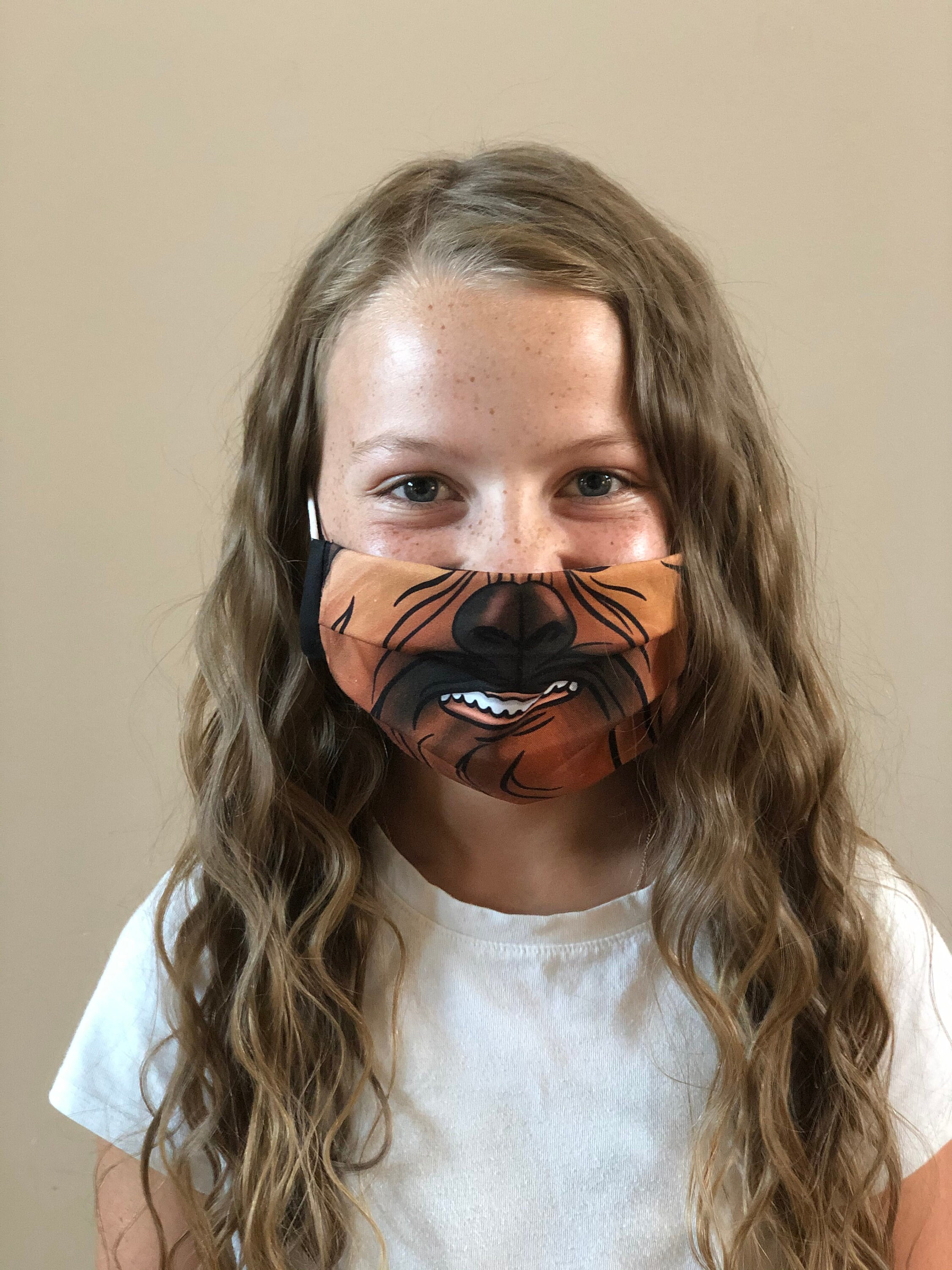 Masks, Character Face Masks / Adult and Youth Sizes / Washable and ...