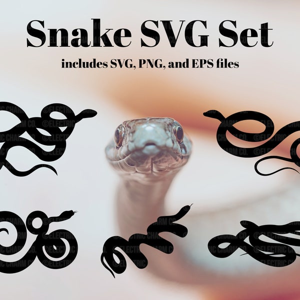 Coiled Snake Svg - Etsy
