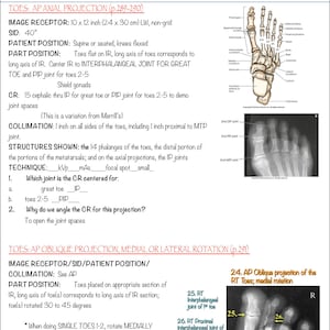 Xray Cheat Sheet Badge - Etsy