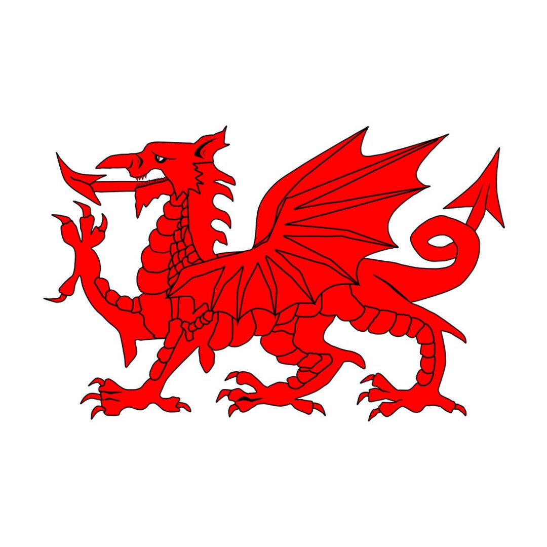 Set of 2 X Welsh Dragon Iron on Screen Print for Fabric Machine ...