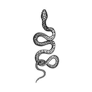 Snake Temporary Tattoo Neck Face Cobra Hand Arm Body Art - Etsy UK