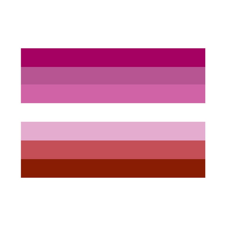 Set Of 2 X Lgbt Pride Flag Iron On Screen Print Transfers For Etsy