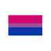 Bisexual Pride Flag Iron on Screen Print Transfers for Fabrics Appliqué ...