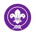 Set of 2 X Scouts Iron on Screen Print Badge for Fabric Machine ...