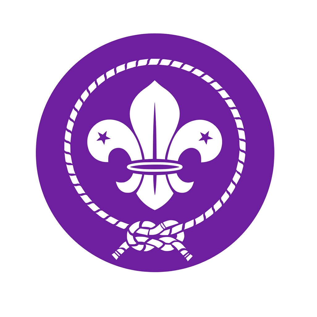 Set of 2 X Scouts Iron on Screen Print Badge for Fabric - Etsy UK