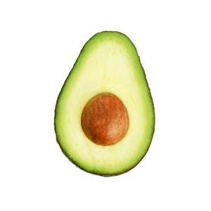 Avocado Iron on Screen Print Patch Applique Motif Fruit Transfer - Etsy