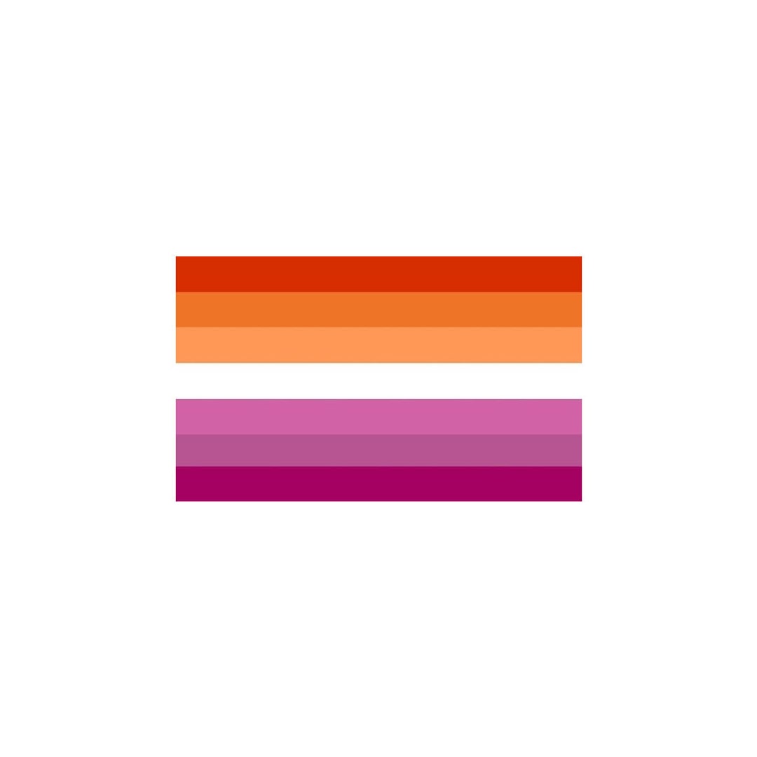 2 X Lesbian Sunset Flag Iron on Screen Print Transfers for Fabrics ...