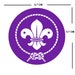 Set of 2 X Scouts Iron on Screen Print Badge for Fabric Machine ...