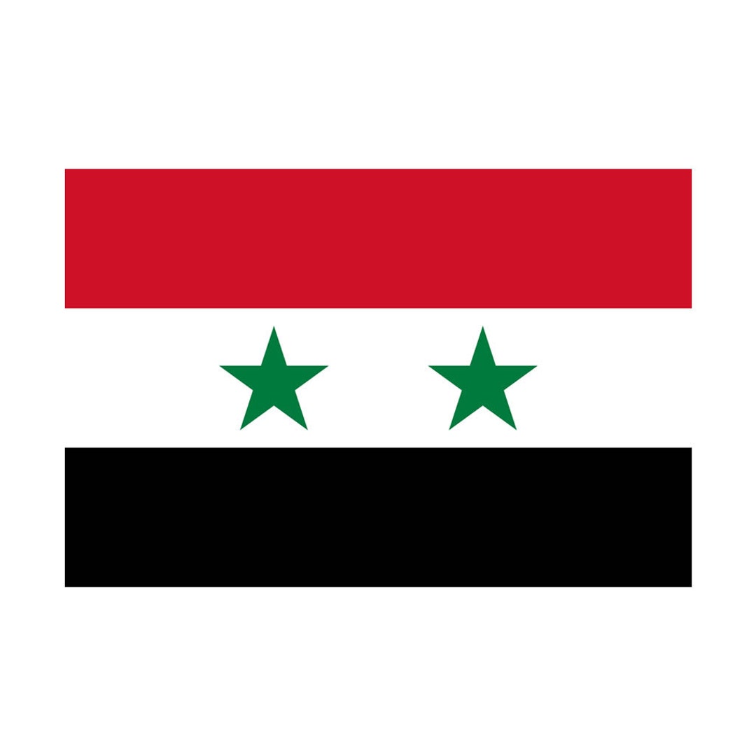 Set of 2 X Syrian Flag Iron on Screen Print Transfers for Fabrics ...