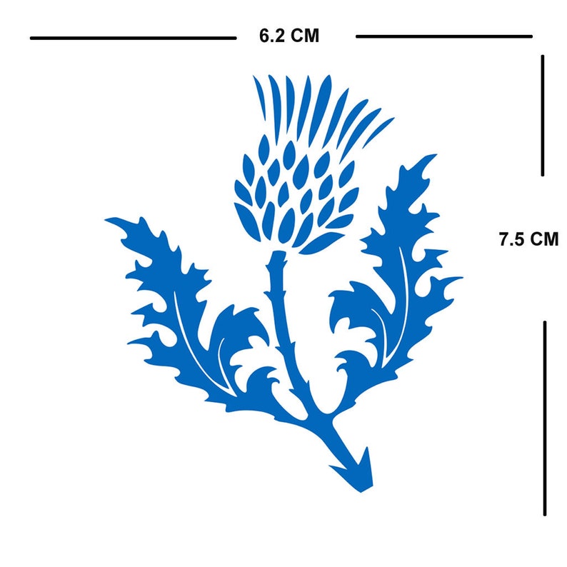 Set of 2 X Scottish Flower Iron on Screen Print for Fabric | Etsy