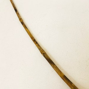 BAMBOO SCRAPER - Oldest Musical Instrument | Produces Solid and Hollow ...