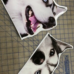 Husky in the Window Siberian Husky Cute Dog Decal Vinyl 3D Graphics ...