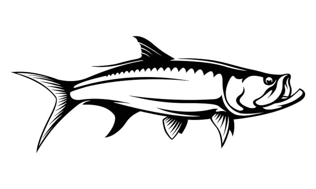 Tarpon Decal - Etsy