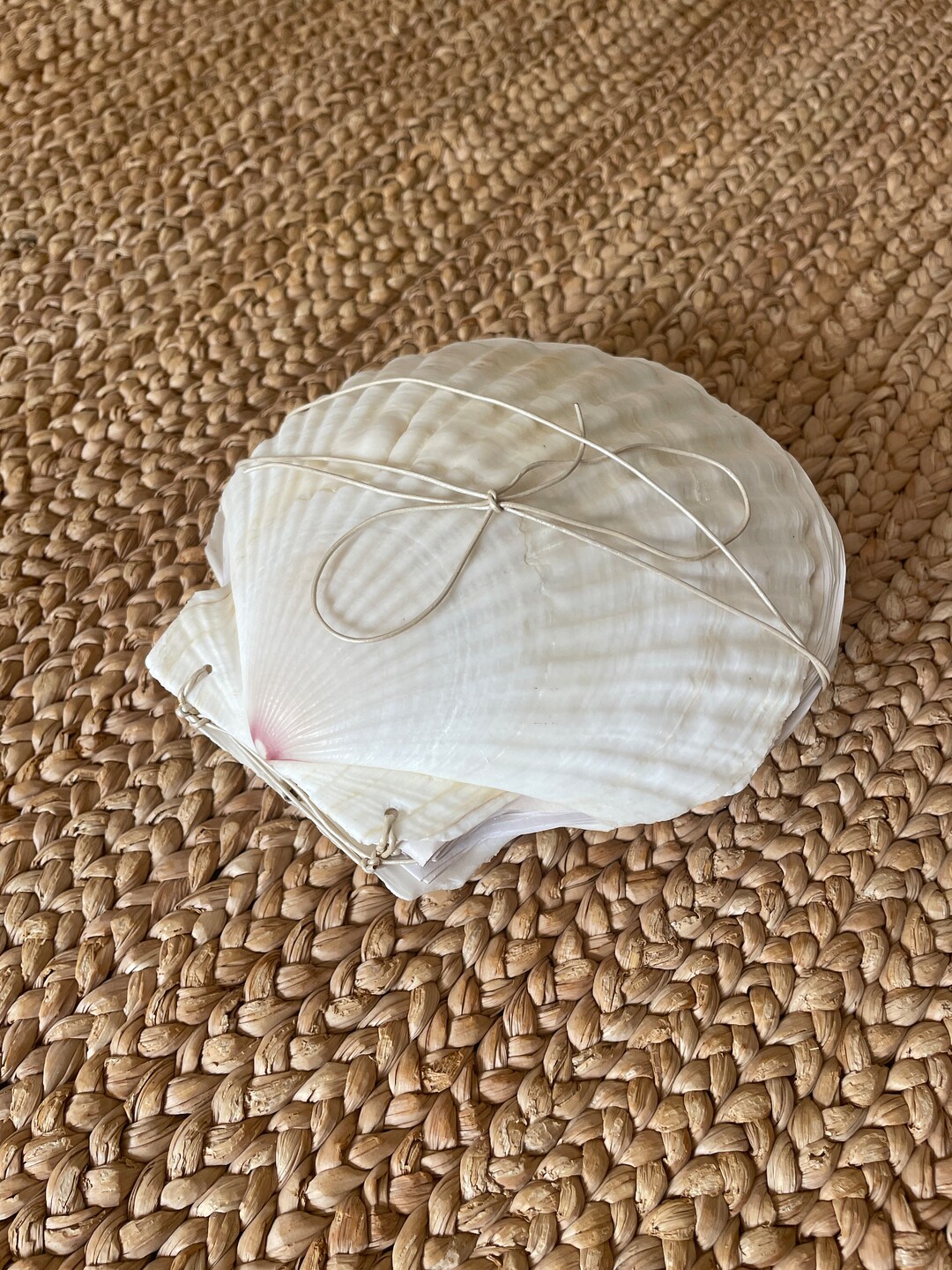 Large Natural Scallop Seashell Journal Beach Decor Handmade Shell ...