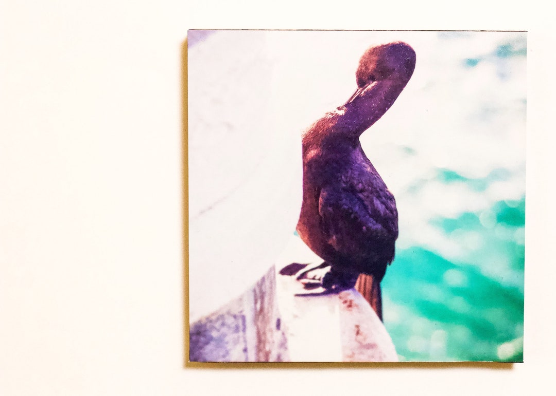Original Photography Wall Tile Print - Etsy