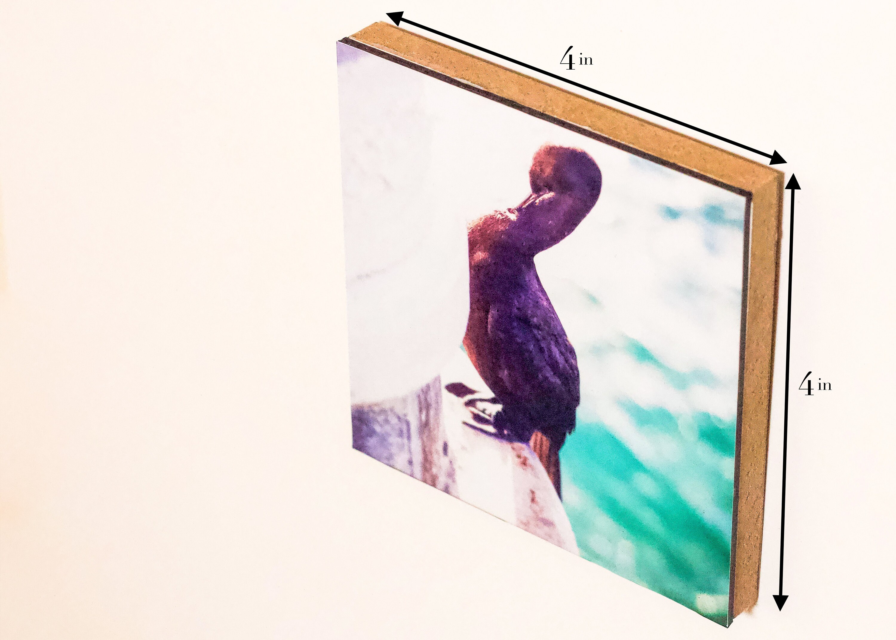 Original Photography Wall Tile Print - Etsy