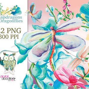 Watercolor Hand Painted on Paper, Clipart Graphics, PNG, Dragonflies ...