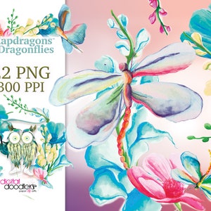 Watercolor Hand Painted on Paper, Clipart Graphics, PNG, Dragonflies ...