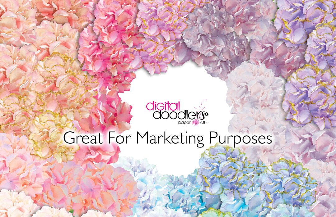 Bright Ombre Hydrangea Sublimation Background, Floral Clipart Graphics ...