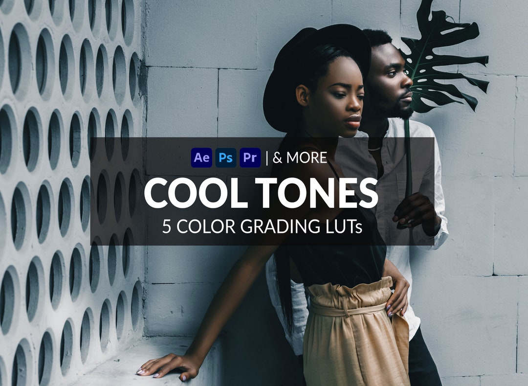 5 Cool Tones Luts Photo Video Bright, Cool, Urban, Travel ICC, CUBE ...