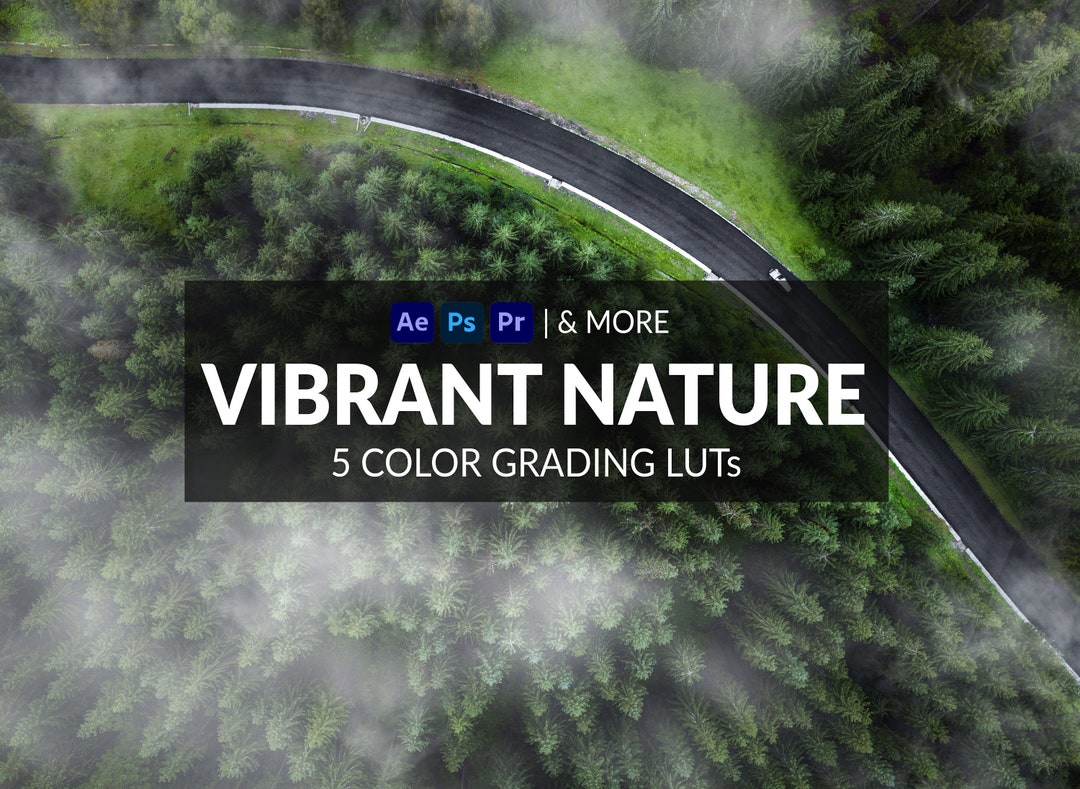 5 Vibrant Nature Luts Photo Video Bright, Vibrant, Landscape ICC, CUBE ...